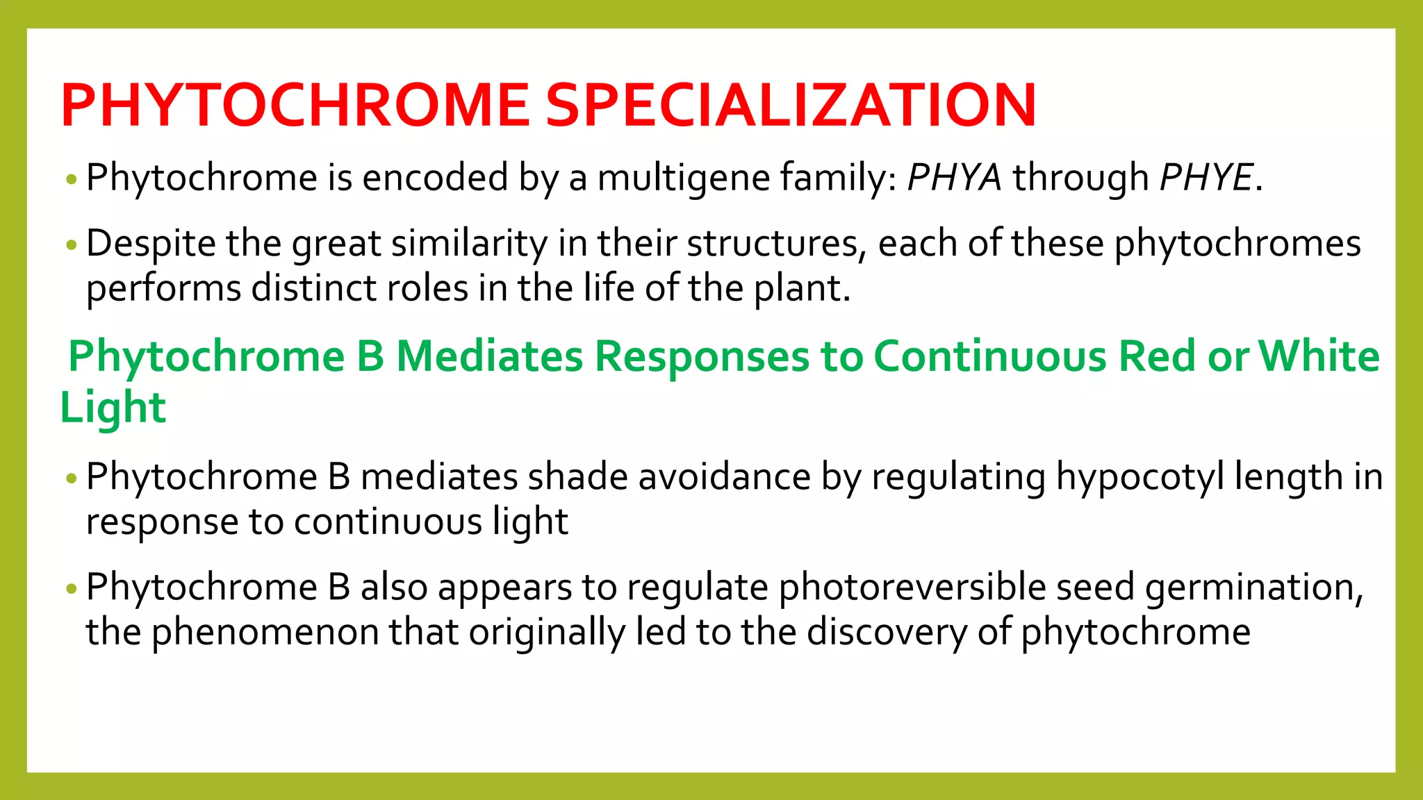 Photomorphogenesis | PPTX