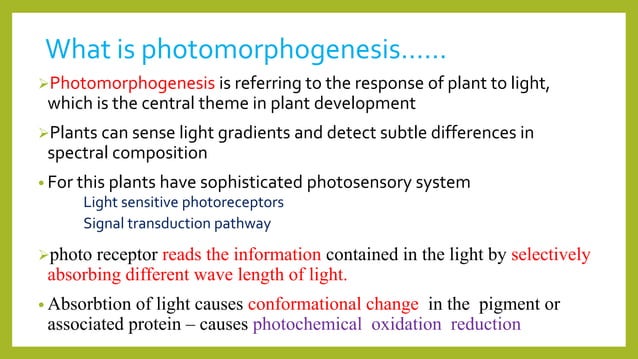 Photomorphogenesis | PPTX