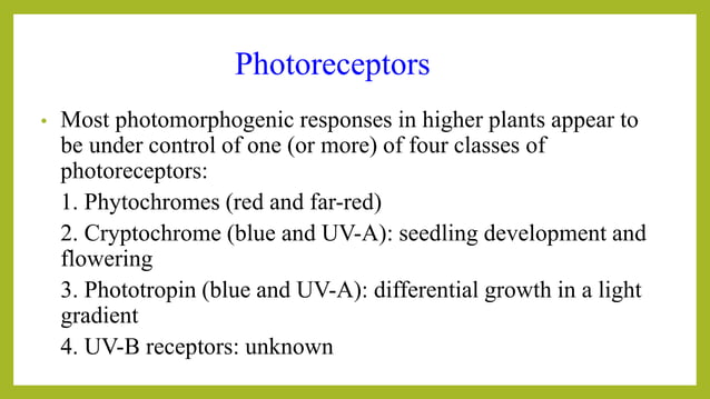 Photomorphogenesis | PPTX