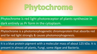 Photomorphogenesis by Vidan Biology | PPTX