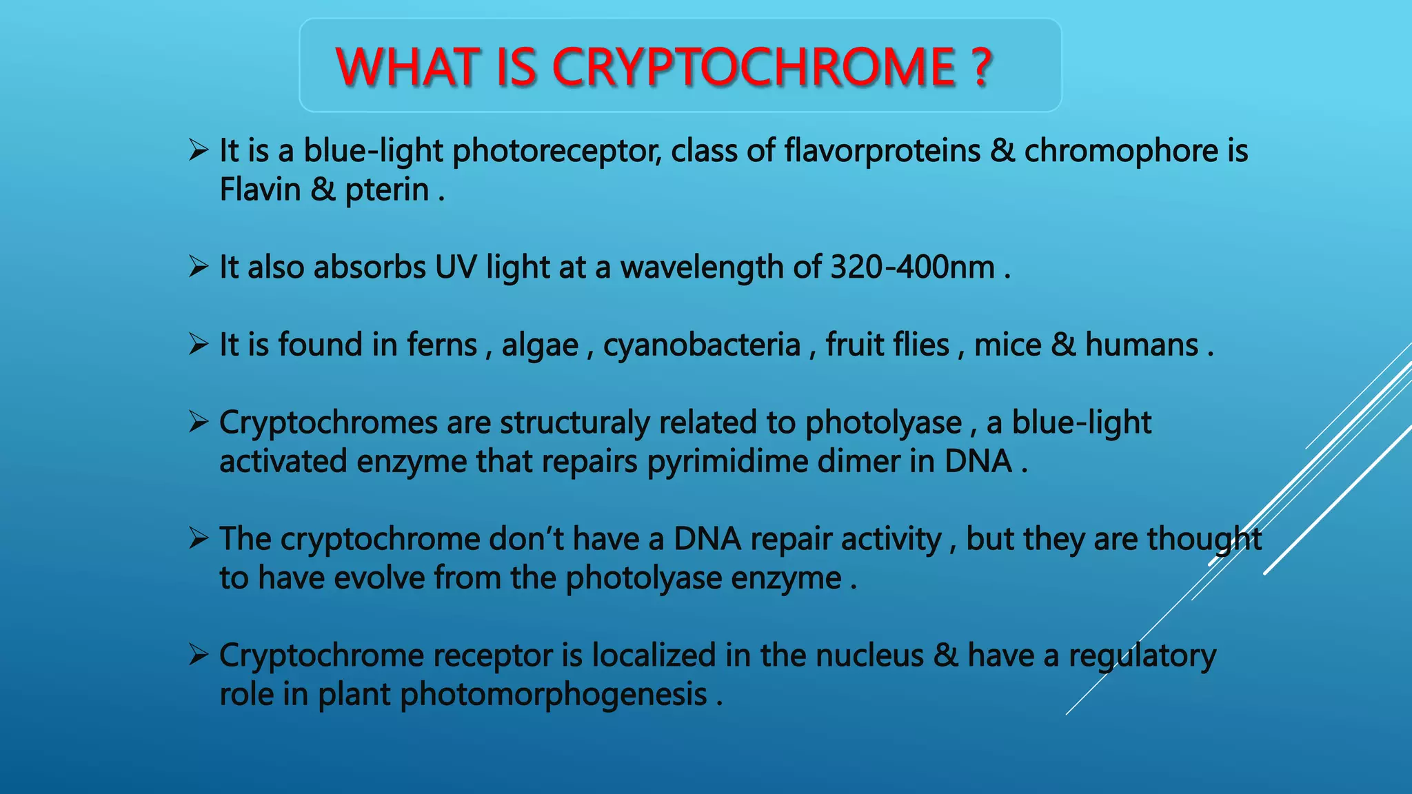 PHOTOMORPHOGENESIS | PPTX