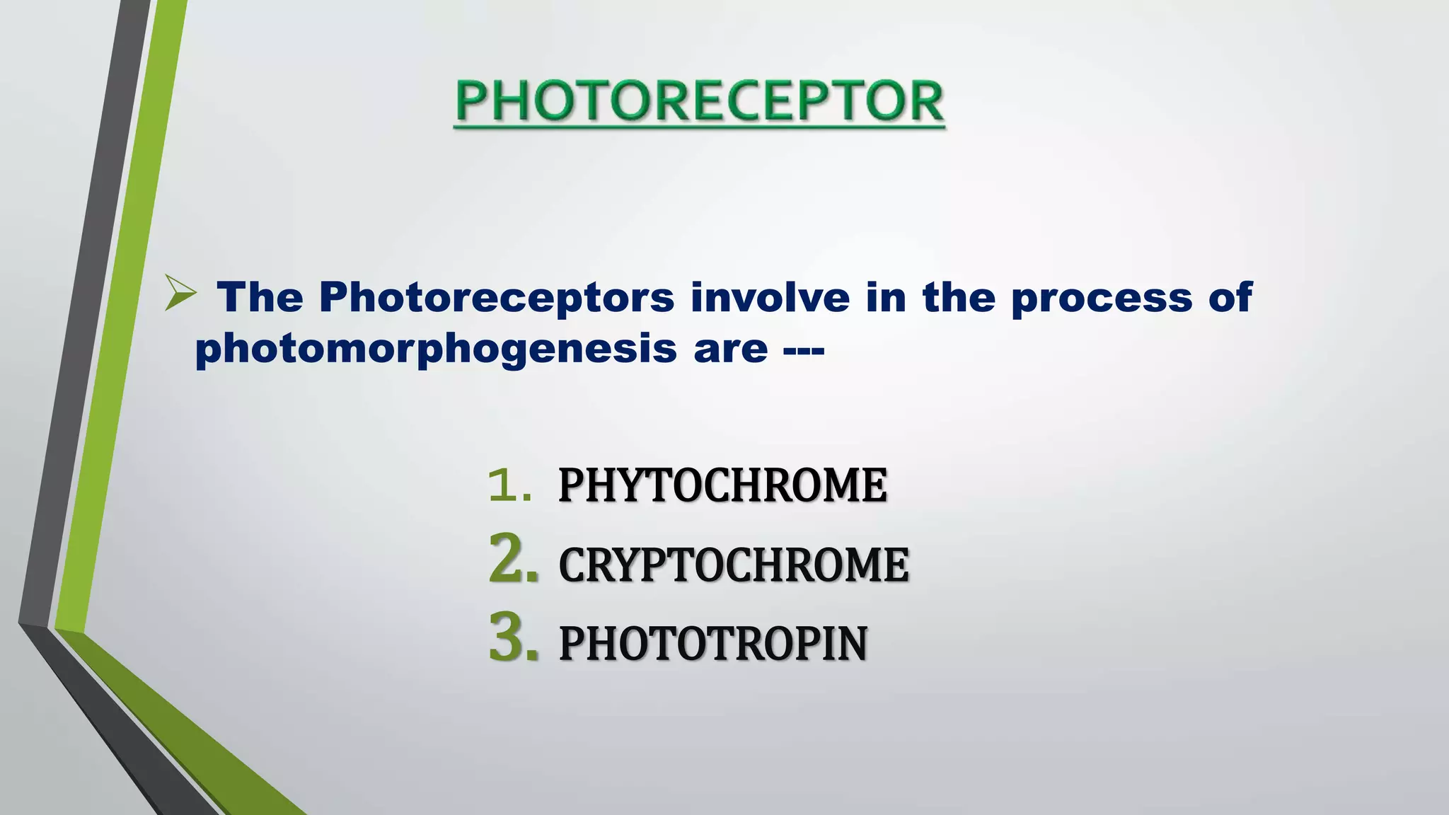 PHOTOMORPHOGENESIS | PPTX