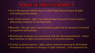 PHOTOMORPHOGENESIS | PPTX
