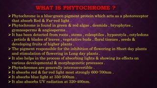 PHOTOMORPHOGENESIS | PPTX