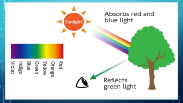 Photon Concept of Light.pptx | Physics | Science