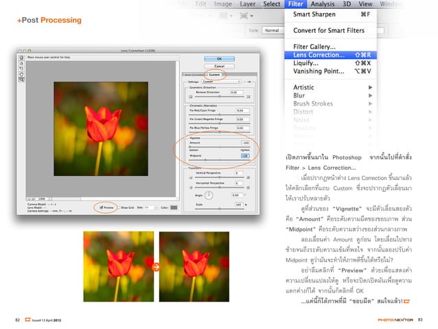 Photo nextor v14 | PDF
