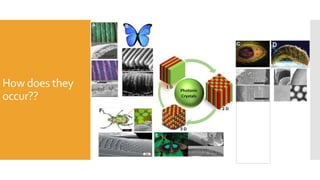 Photonic_Crystal_By_Anshika_Bhadoriya.pptx