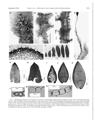 photo of moss by Angie Jane Gray (1).pdf