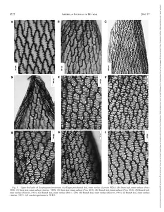 photo of moss by Angie Jane Gray (1).pdf