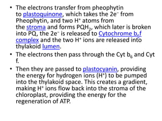 Photo oxidation of water and photophosphorylation | PPTX