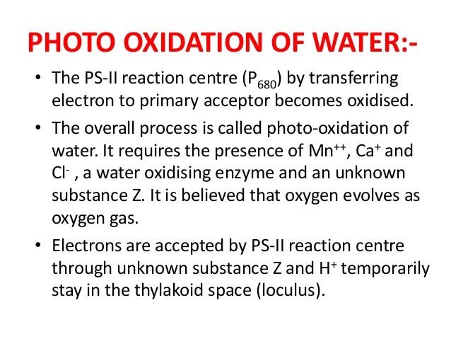 Photo oxidation of water and photophosphorylation