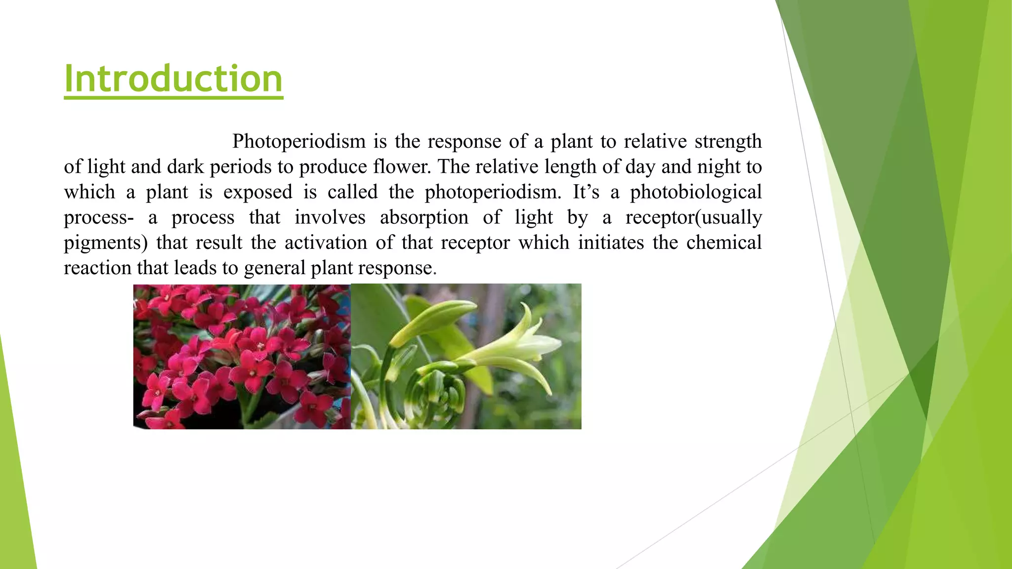 Photoperiodism | PPTX