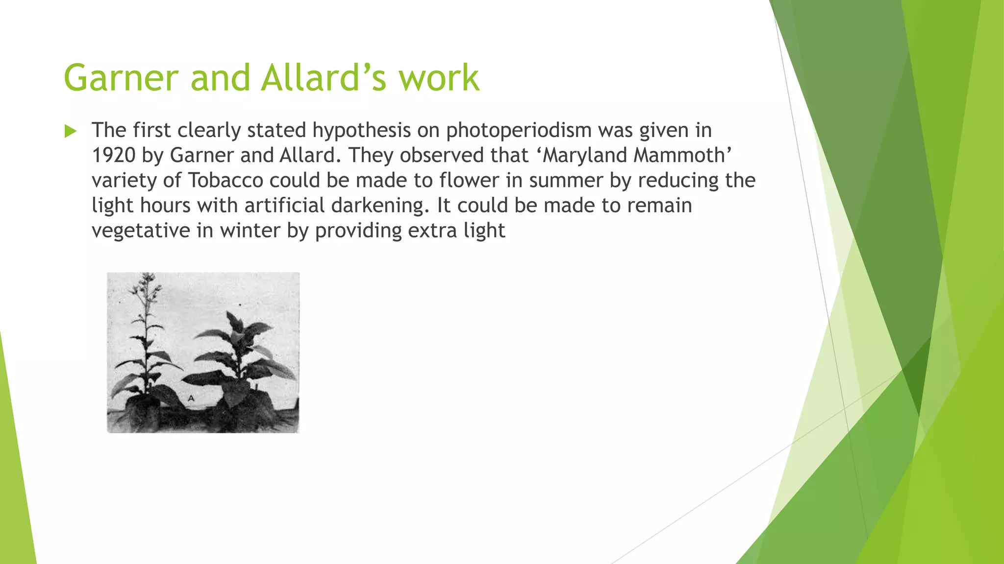 Photoperiodism | PPTX