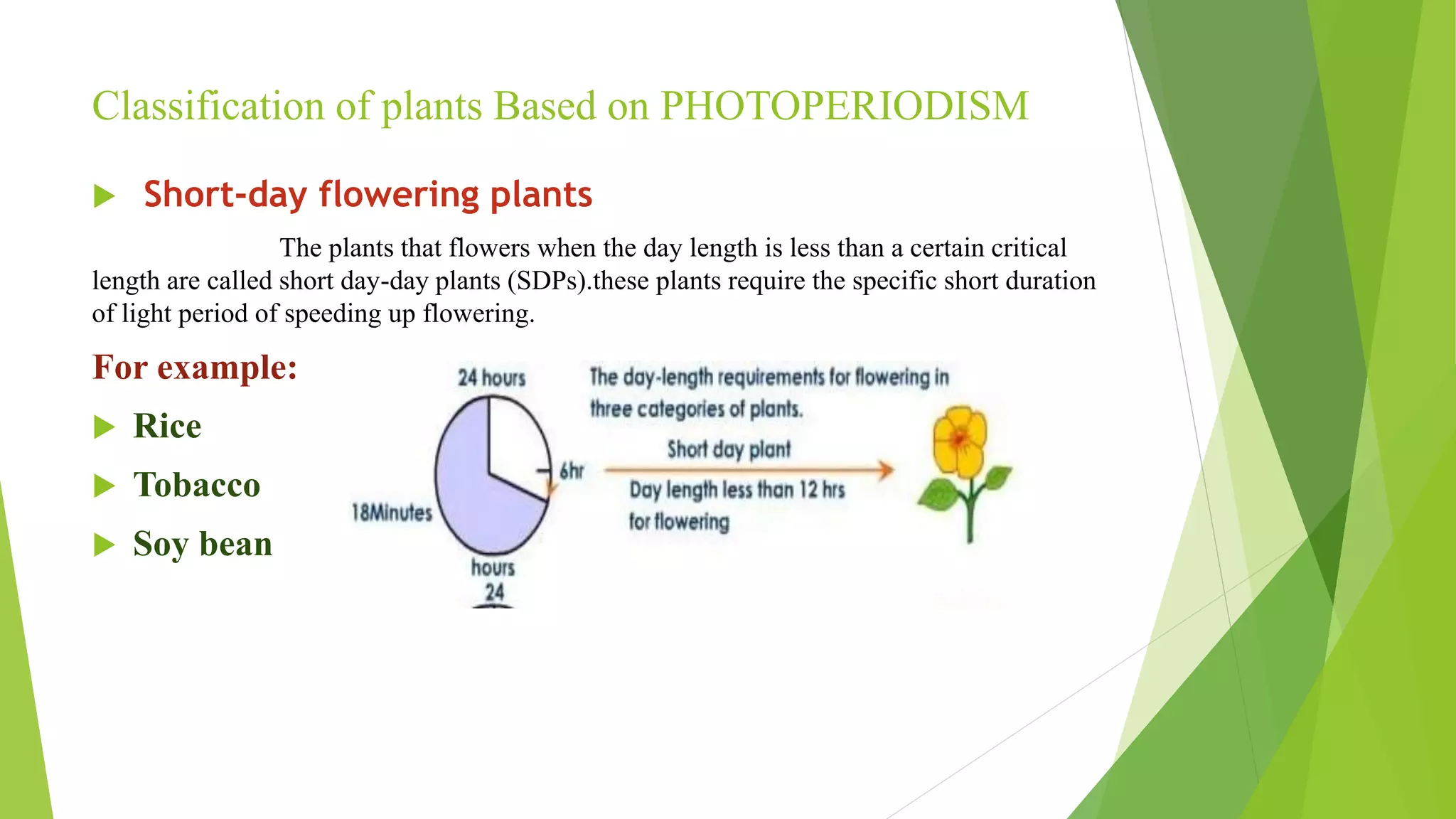 Photoperiodism | PPTX