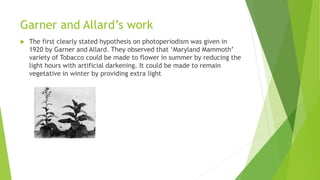 Photoperiodism | PPT