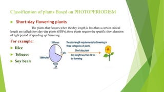Photoperiodism | PPT