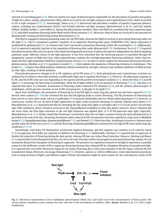 Photoperiodic-and-lighting-treatments-for-flowering-control-and-it_2024_Heli.pdf
