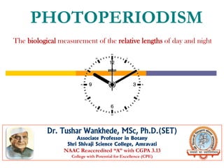 Photoperiodism | PDF
