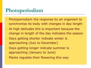 Photoperiodism | PDF