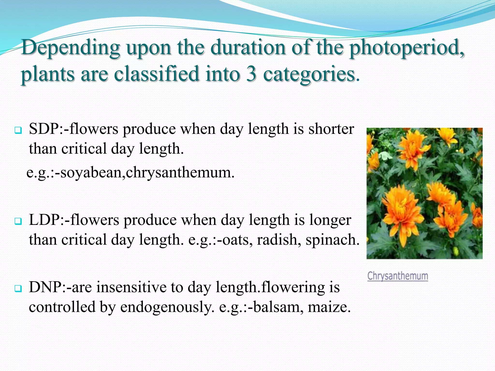 Photoperiodism | PPTX