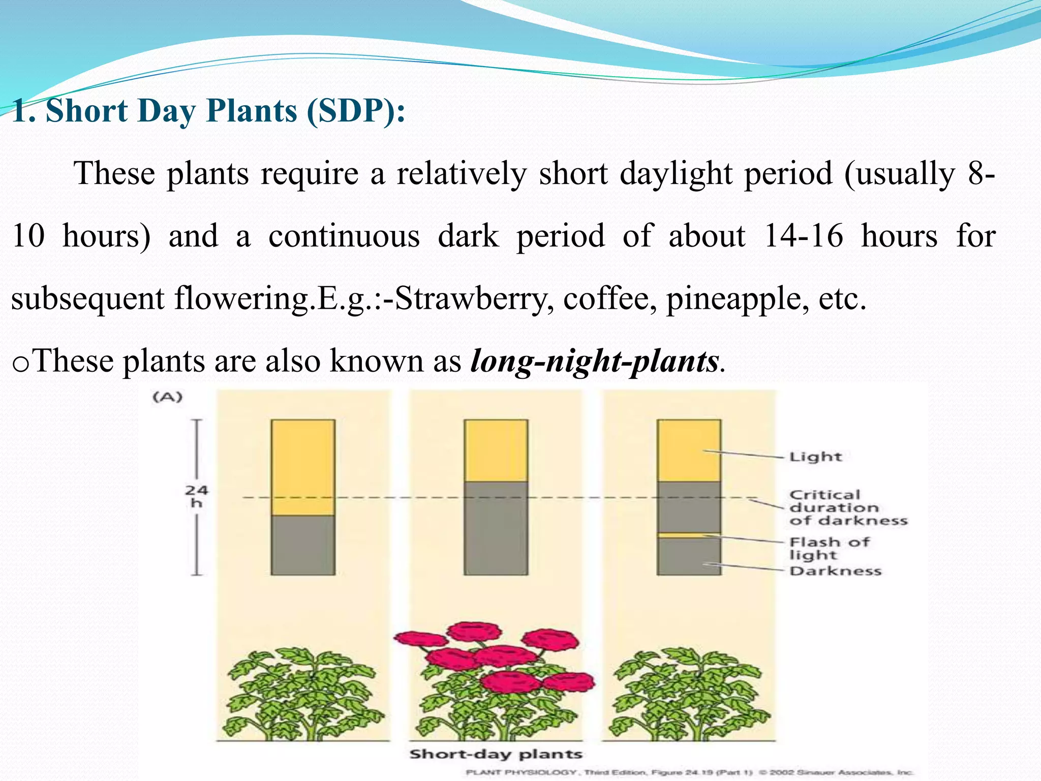 Photoperiodism | PPTX
