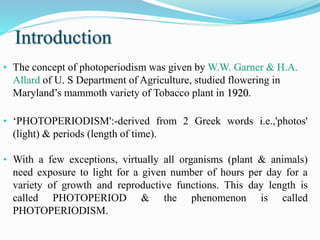 Photoperiodism | PPTX
