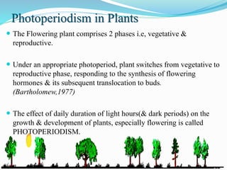 Photoperiodism | PPTX