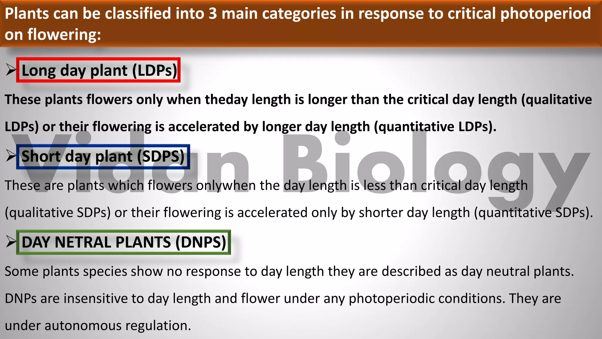 Photoperiodism Detail slide | PDF | Gardening | Home & Garden