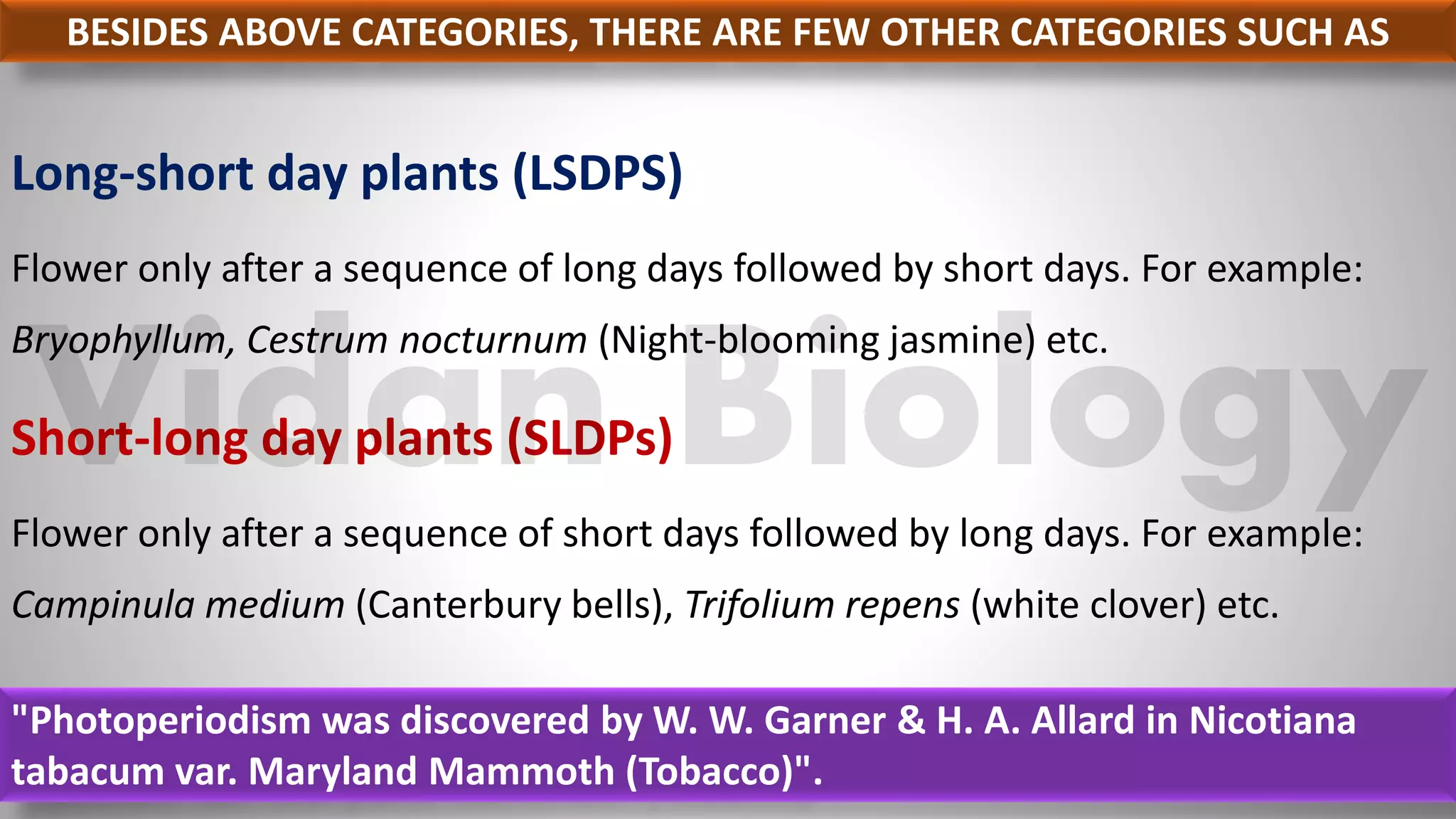 Photoperiodism Detail slide | PDF | Gardening | Home & Garden