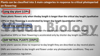 Photoperiodism Detail slide | PDF | Gardening | Home & Garden