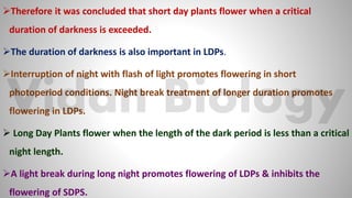 Photoperiodism Detail slide | PDF | Gardening | Home & Garden
