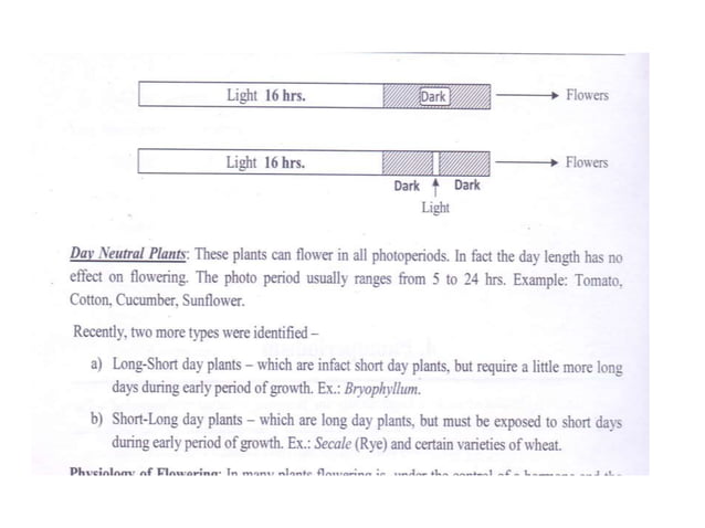 Photoperiodism | PPT