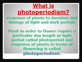 PHOTOPERIODISM.pptx