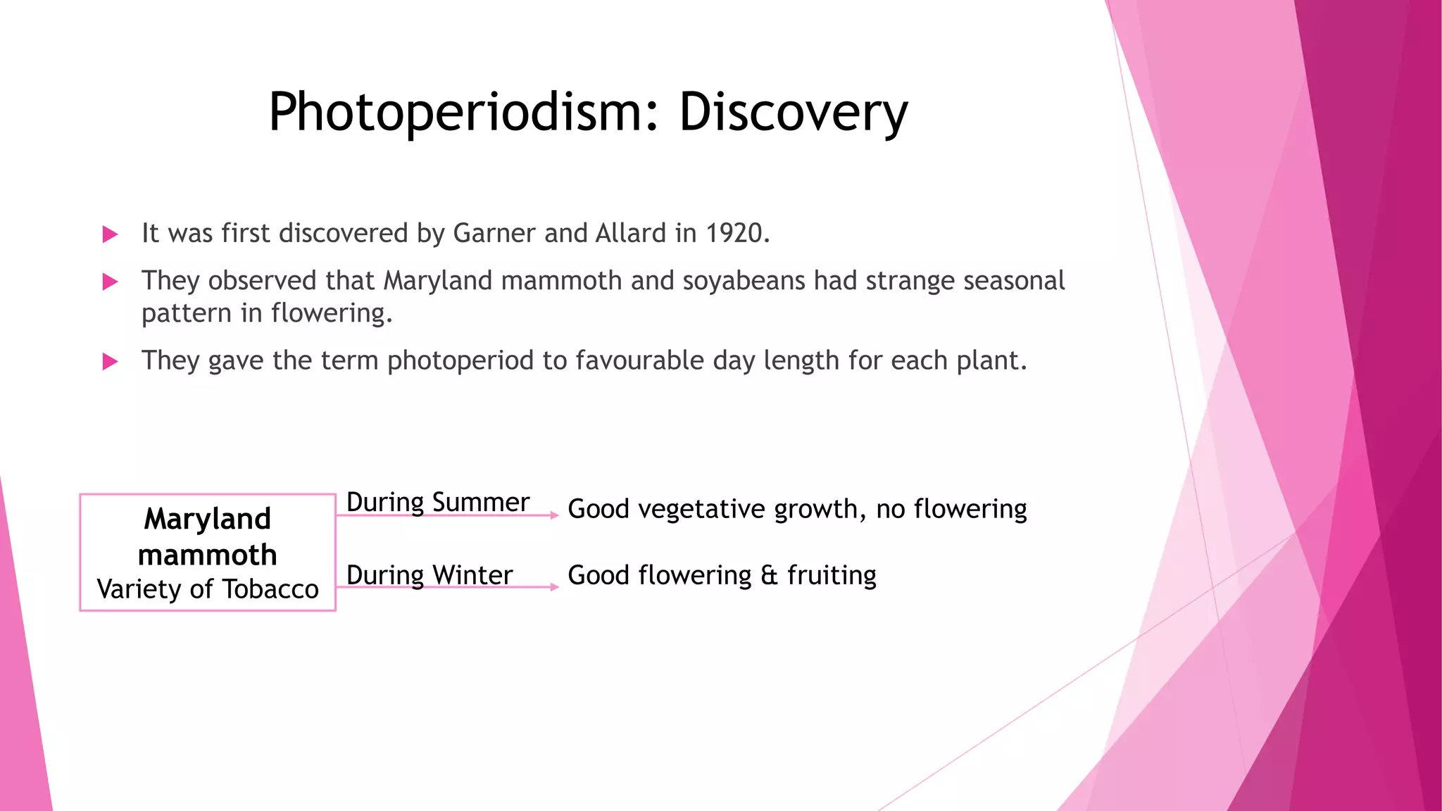 photoperiodism | PPTX