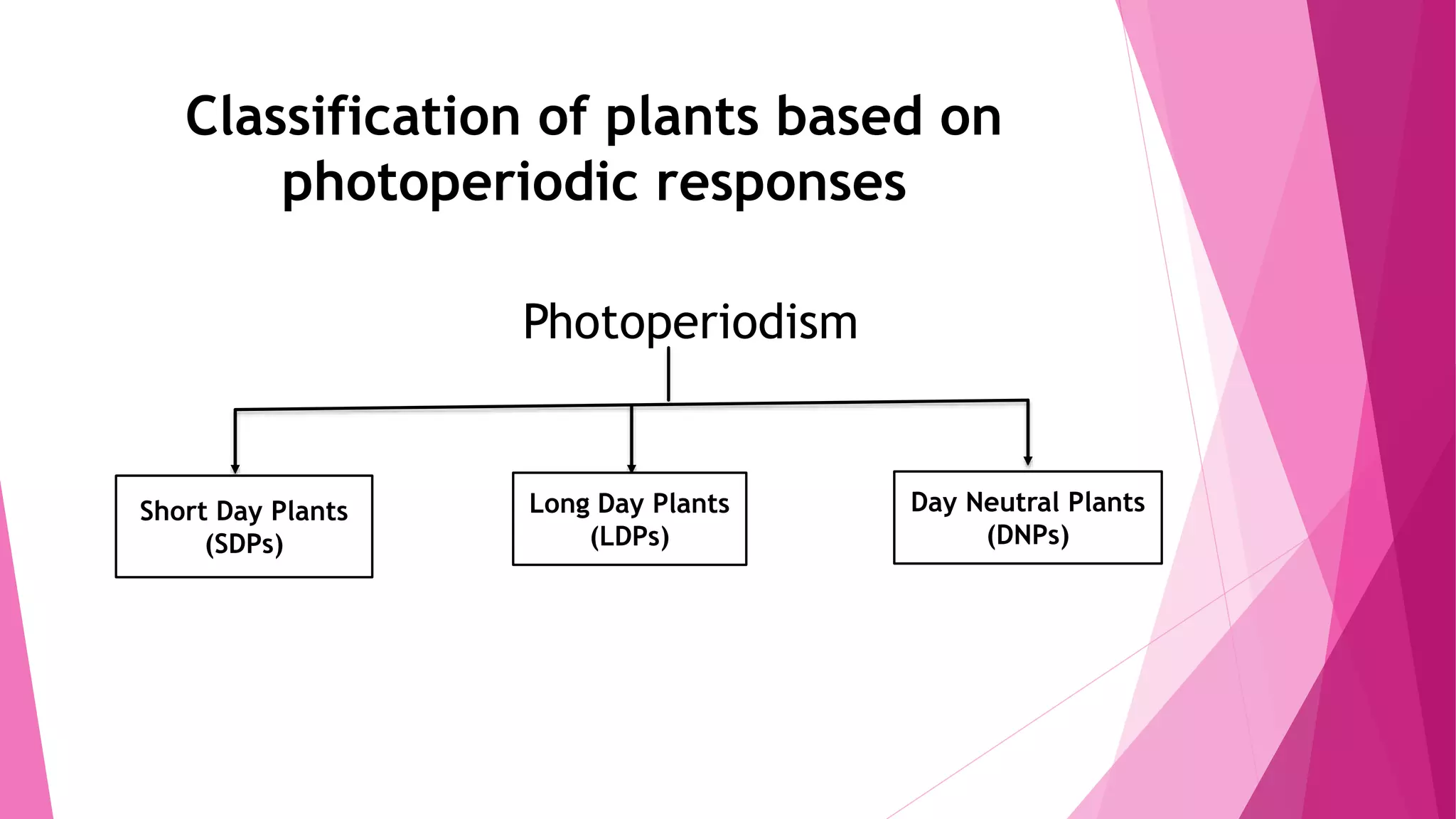 photoperiodism | PPTX