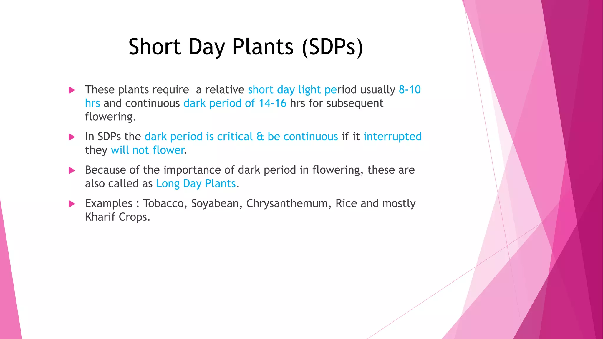 photoperiodism | PPTX