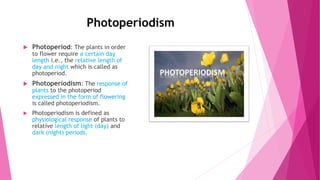 photoperiodism | PPTX