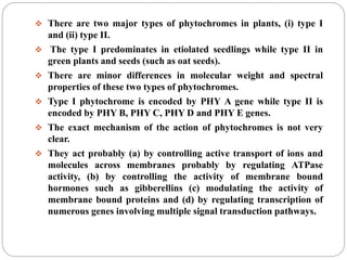 Photoperiodism - concept of florigen and role of phytochrome | PPTX