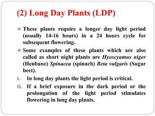 Photoperiodism - concept of florigen and role of phytochrome | PPTX