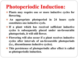 Photoperiodism - concept of florigen and role of phytochrome | PPTX
