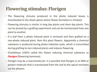 Photoperiodism and vernalization | PPTX