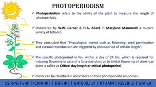 Photoperiodism & Vernalization L1-3.pdf