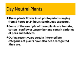 Photoperiodisom | PPTX | Gardening | Home & Garden