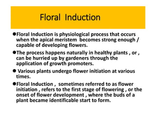Photoperiodisom | PPTX | Gardening | Home & Garden