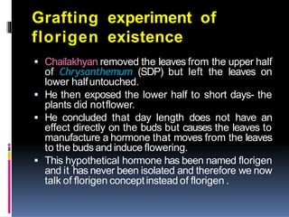Photoperiodsim & vernalization | PPTX