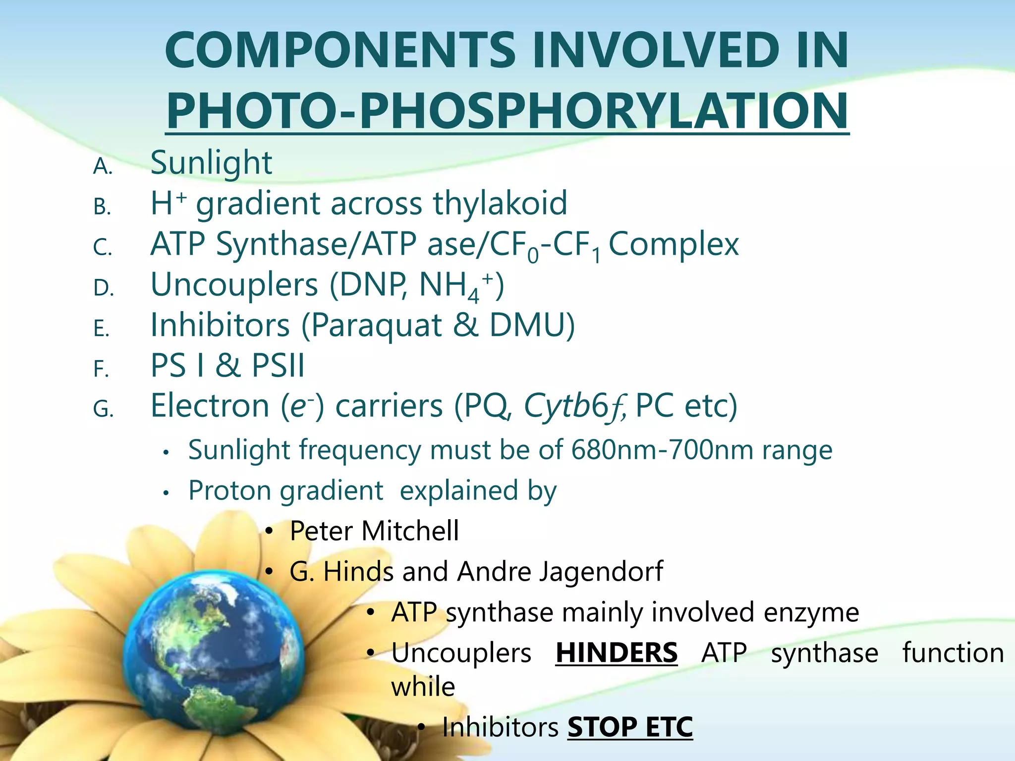 Photophosphorylation/Photosynthesis/Light reaction | PPTX