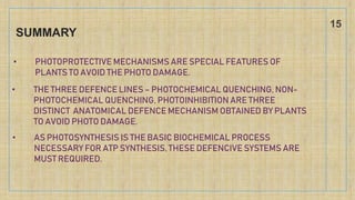 Photoprotective Mechanism in Plants | Biochemical & Morphological | PPTX