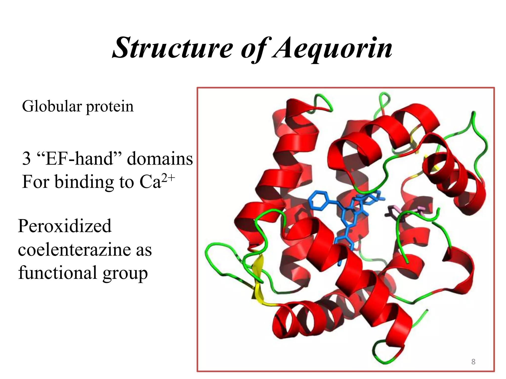 Mechanism of Photoproteins | PPTX