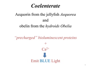 Mechanism of Photoproteins | PPTX