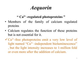 Mechanism of Photoproteins | PPT